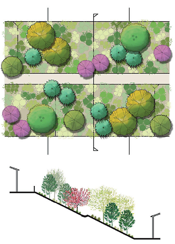 Fire Safety & Emergency Access - Reche Canyon 411